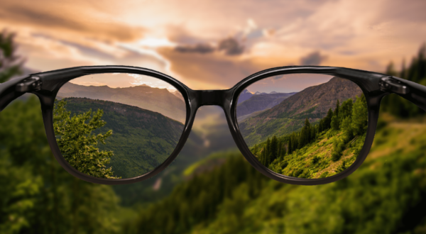 The Five Senses - Oodo Optical