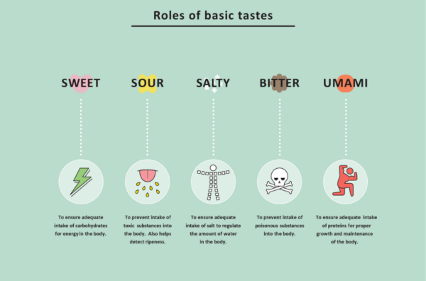 The Five Senses - Oodo Optical