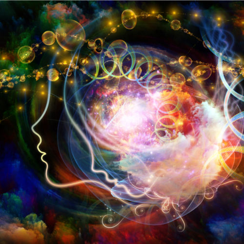 TOKAI: The Case Studies (Part 2) - Oodo Optical